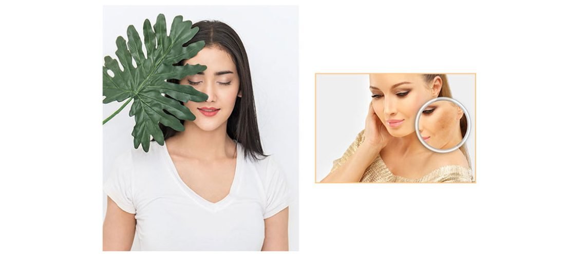 Daisy Flower Extract for Skin – The Indie Earth